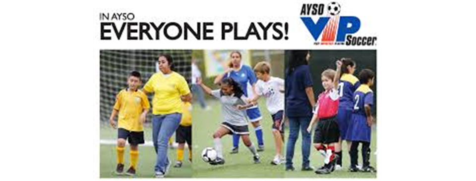 VIP Soccer